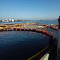 China Modular Customizable HDPE Complete‑Set Fish Farming Cage for sale