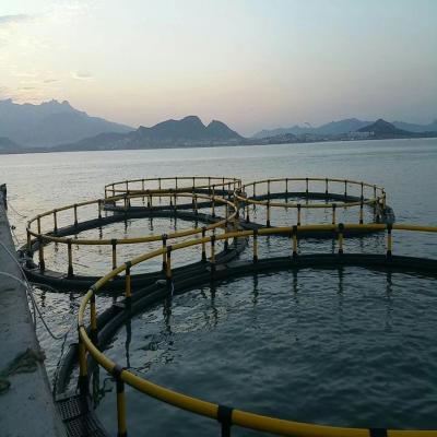 China 12 Typhoon Resistant Deep Sea HDPE Fish Cage Long Service Life 10-15 Years for sale