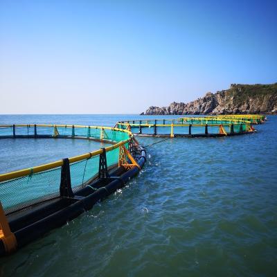 China Virgin PE100 HDPE Fish Cage UV Anti-aging Crack-proof Offshore Aquaculture Cage for sale