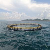 China Customizable HDPE Fish Cage Complete Aquaculture Solution with Installation Guidance for sale