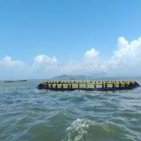 China Customizable HDPE Fish Cage Complete Aquaculture Solution with Installation Guidance for sale