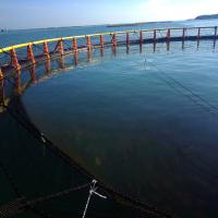 China Export‑Grade Modular HDPE Fish Cage, Efficient Container Loading for sale