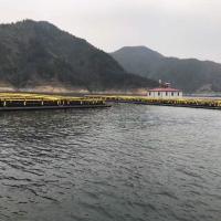 China Export‑Grade Modular HDPE Fish Cage, Efficient Container Loading for sale