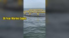 Durable HDPE Fish Cages Last 30 Years