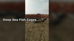Built To Last Deep Sea Fish Cages
