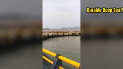 HDPE Fish Cages Built To Last