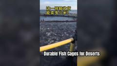 Durable HDPE Fish Cages for Harsh Desert Climates