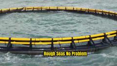 Heavy Duty HDPE Fish Cage Built for Rough Open Sea
