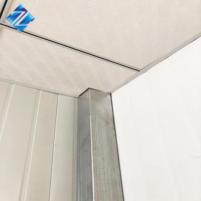 Cina 20FT White Expandable Foldable Container House Prefab in vendita