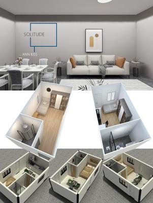 Cina Tiny Foldable Flat Pack Container House 20/40 Ft in vendita
