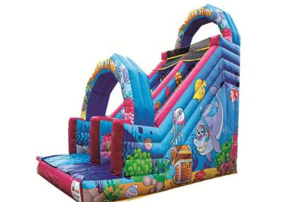 China Pirate Ship Inflatable Castle Slide , UV Resistant Outdoor Inflatable Slide for sale