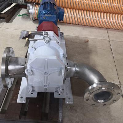 Cina Multi anticorrosivo 8 M3/H della pompa del lobo di materia prima di scena di SS316L in vendita