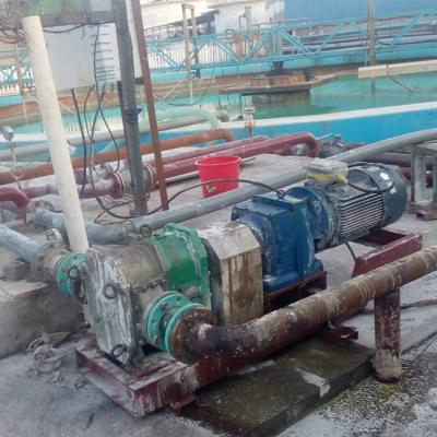 Cina Flangia stabile DN80 del rotore di NBR di spostamento positivo rivestito di gomma della pompa in vendita