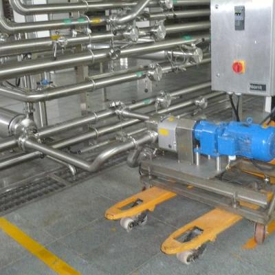 Cina Forte aspirazione della pompa sanitaria pratica antiusura del lobo per industria alimentare in vendita