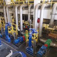 China Broadside Rotor Technology High Efficient Lobe Pump With Machinery Seal for sale