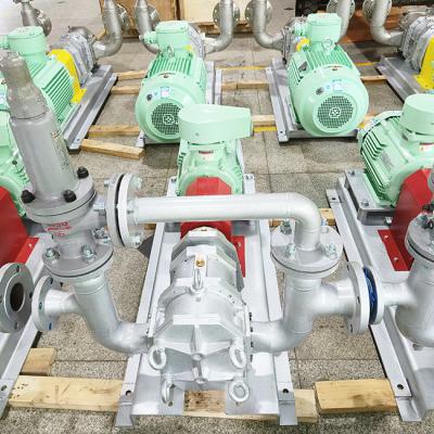Cina Industria petrolifera FKM Rotor Ss316 Pompe tri-lobe con valvole di sicurezza in vendita