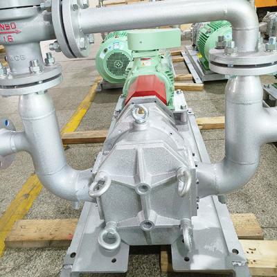 Cina Industria petrolifera FKM Rotor Ss316 Pompe tri-lobe con valvole di sicurezza in vendita