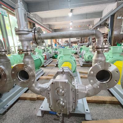 Cina Pompe per rotori in acciaio inossidabile con valvole di sicurezza in vendita