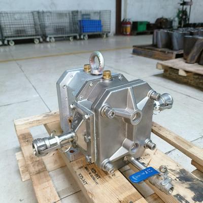 Cina Corrosion Resistance Stainless Steel Rotary Pumps Chemical Reagent in vendita