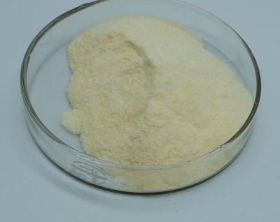 Cina Enzima dell'amilasi di Maltogenic del commestibile per l'additivo del lievito in vendita