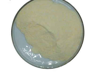 Cina Enzima dell'amilasi di Maltogenic del commestibile per l'additivo del lievito in vendita