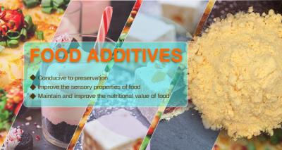Cina Polvere naturale dell'additivo alimentare degli enzimi della lattasi per il gelato in vendita