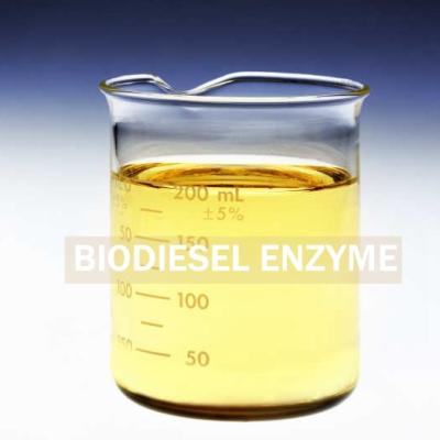 Cina Enzima prodotto della lipasi di Biosurfactants per il recupero migliore del biodiesel in vendita