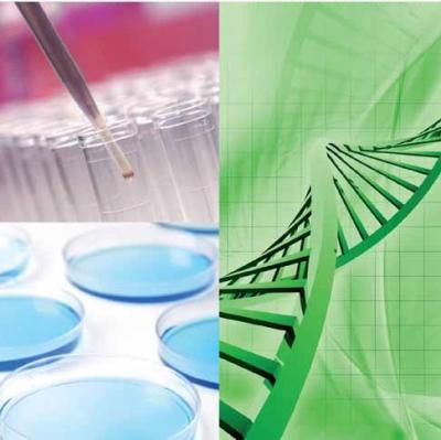 Cina Elevi le vostre operazioni di Biorefinery con la versatilità della tecnologia degli enzimi di CALB in vendita