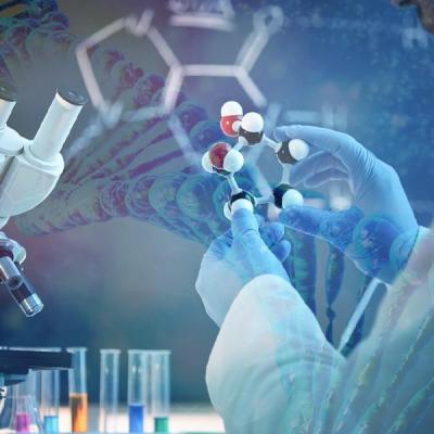 Cina Ottenga davanti alla concorrenza: Sfruttamento della capacità piena di Candida Antarctica Lipase B in vendita