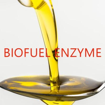 China KDN Biodiesel Enzyme Advances In Enzyme Technology For Renewable Energy Solutions for sale