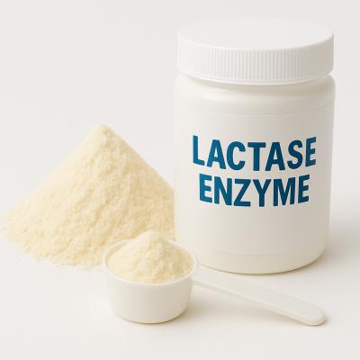 Cina Enzima beta-galattosidasi Sostituente della lattasi per prodotti lattiero-caseari privi di lattosio Enzimi alimentari in vendita