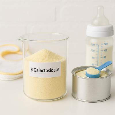 Cina Yogurt di latte in polvere giallo chiaro senza lattosio, facile da maneggiare e comodo in vendita