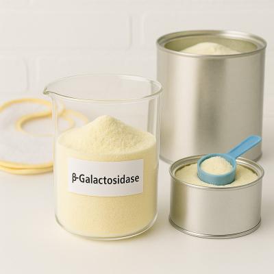 Cina Yogurt ai latticini senza lattosio facile da maneggiare per legatura irreversibile in forma di polvere in vendita