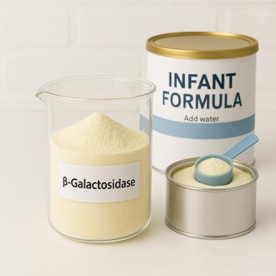 Cina Polvere giallo chiaro Yogurt senza lattosio e senza latticini Forme di legame irreversibili Legami covalenti Resistente al calore in vendita