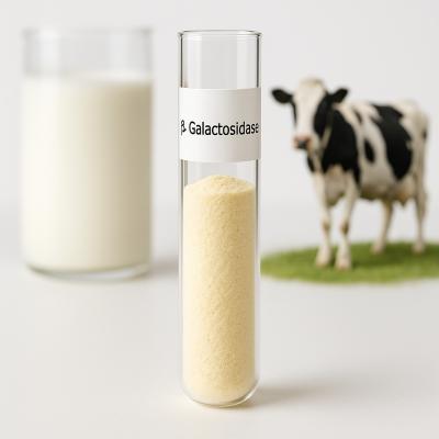 Cina Yogurt ai latticini senza lattosio a dosaggio personalizzabile in polvere giallo chiaro per varie esigenze di lavorazione in vendita