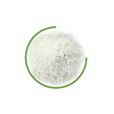 China Improve Cleaning Performance Household Detergent Enzyme At Temperature Range 30-60°C With Free Sample for sale
