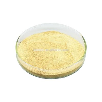 Cina Lipido industriale Biocatalysis di uso degli enzimi della lipasi dell'acqua dell'olio che aumenta digeribilità grassa in vendita