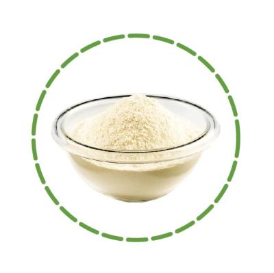 Cina I probiotici della pianta di bacillus subtilis nell'agricoltura evitano le malattie del nematode in vendita
