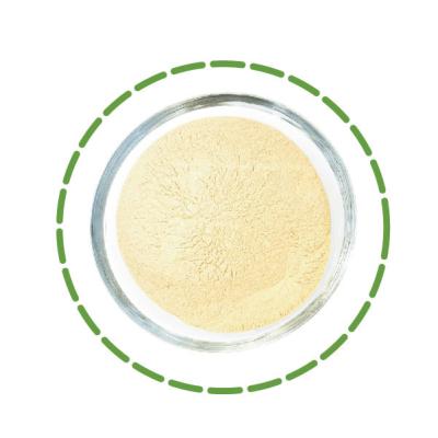 Cina Inoculanti microbici di probiotici dei batteri agricoli di fermentazione come biofertilizzante in vendita