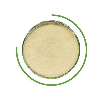 Cina Additivo enzimatico alimentare per film commestibili converte la caseina in imballaggi ecologici tramite cross-linking enzimatico in vendita