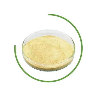 Cina Lavaggio degli enzimi di Endo Cellulase Products Stone Free per l'ospedale della famiglia dei jeans in vendita