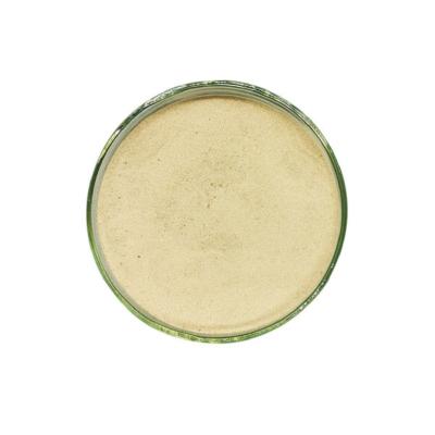 Cina Rimozione tossica degli agenti inquinanti di probiotici dello stagno di trattamento delle acque reflue di bacillus subtilis in vendita