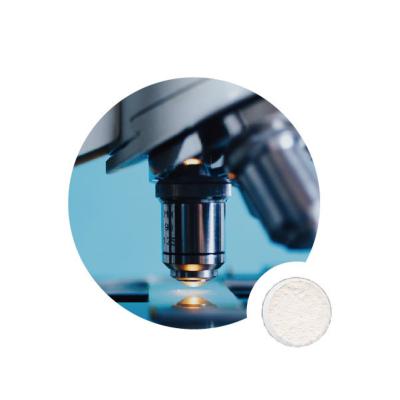 Cina Grasso dell'olio di Niger Lipase Enzyme Degrading Bacteria di aspergillus in acqua di scarico in vendita