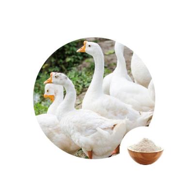 Cina Glucosi ossidasi di panificazione in enzimi Cas 9001-37-0 dell'alimentazione del pollame del grano della farina in vendita