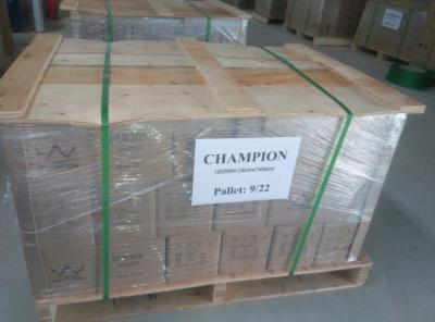 Cina Lampada di via di energia solare di potere dell'invertitore della batteria al piombo 45ah di UPS 12v in vendita