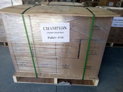 Cina Batterie Inveter di AGM Vrla batteria delle cellule del gel da 12 volt per uso di energia solare in vendita