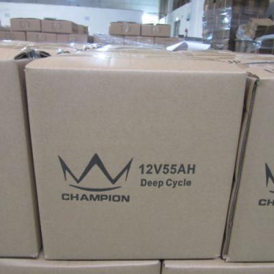 Cina terminale ricaricabile della batteria al piombo M6 del Agm UPS di 12v 55ah in vendita