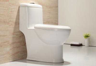 Κίνα Άνετη Κεραμική One Piece Toilet Easy Cleaning Anti Bacteria προς πώληση