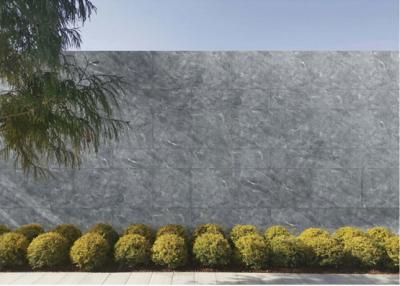 China Firebrick 600x1200mm Grau Matte Vorhang Wandfliesen für Outdoor-Design und Projekt zu verkaufen