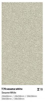 중국 안 슬리프 검은색 전체 몸 24"X48" 회색 바닥 포장 타일 정원 판매용